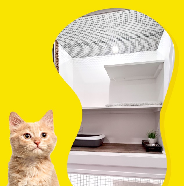 Daily Cat – Hôtel pour chats